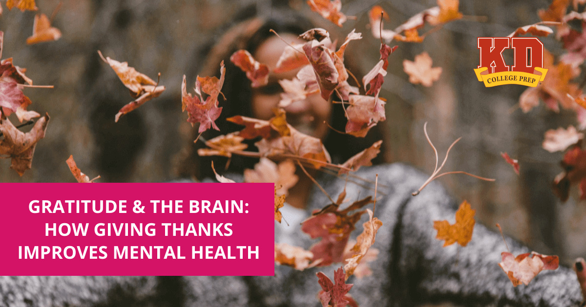Gratitude & the Brain: How Giving Thanks Improves Mental Health
